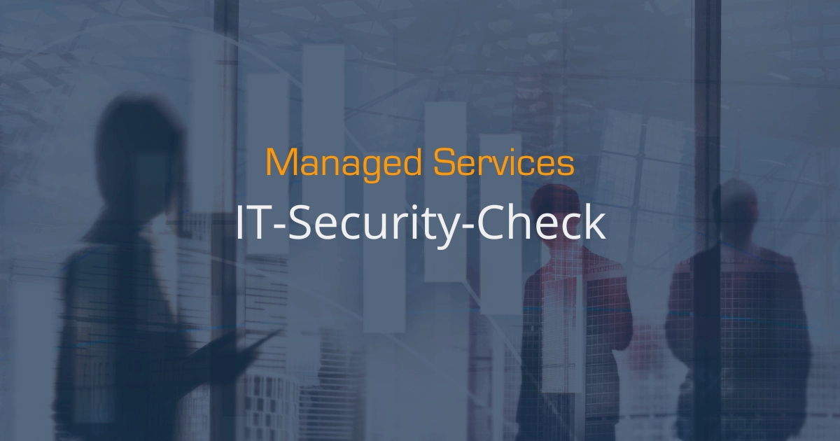 IT Security Check | michael wessel